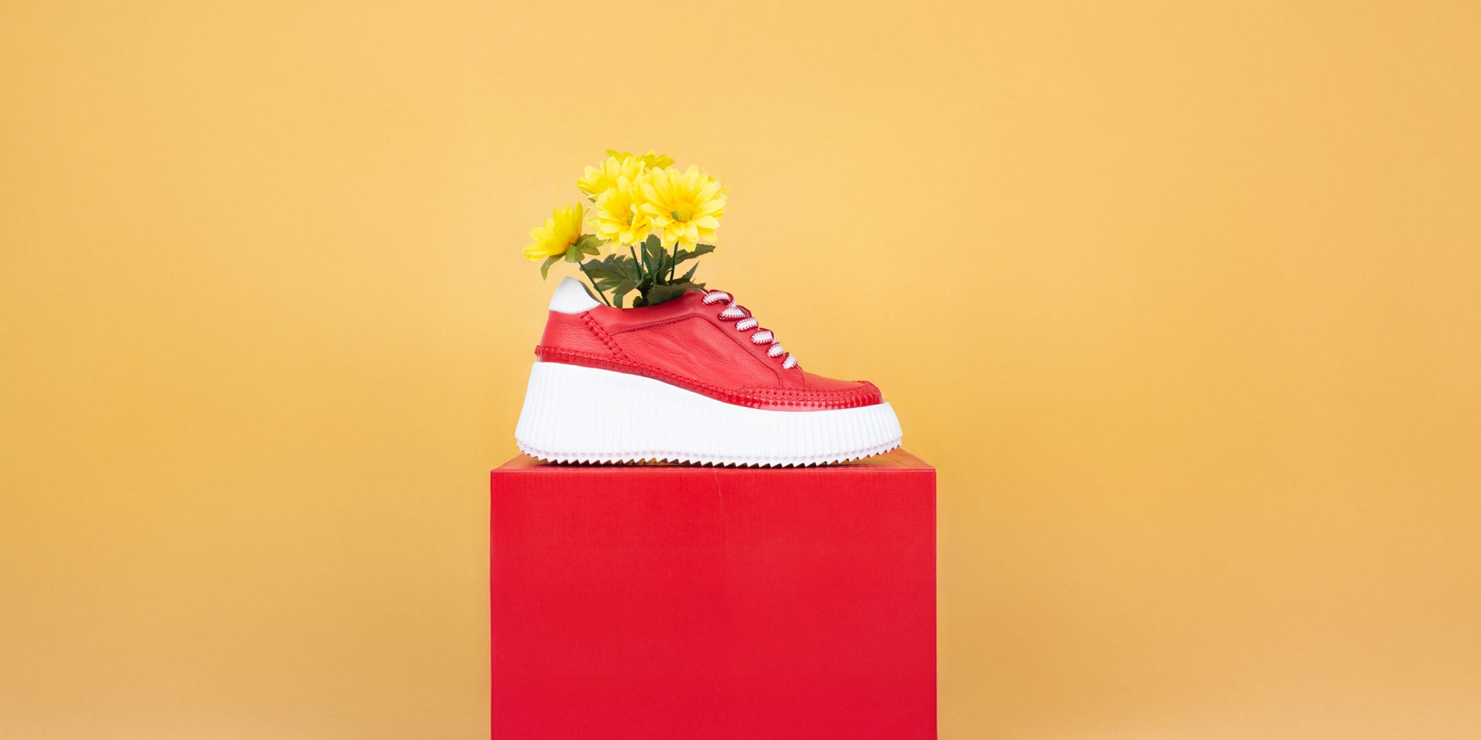 Shop Quality Shoes Online | Stylish Comfort by Mischief Shoes