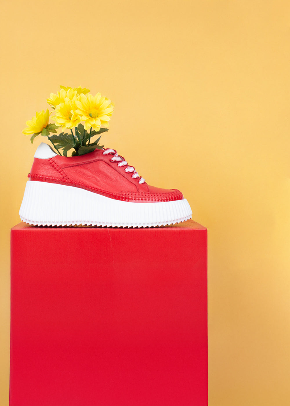 Shop Quality Shoes Online | Stylish Comfort by Mischief Shoes