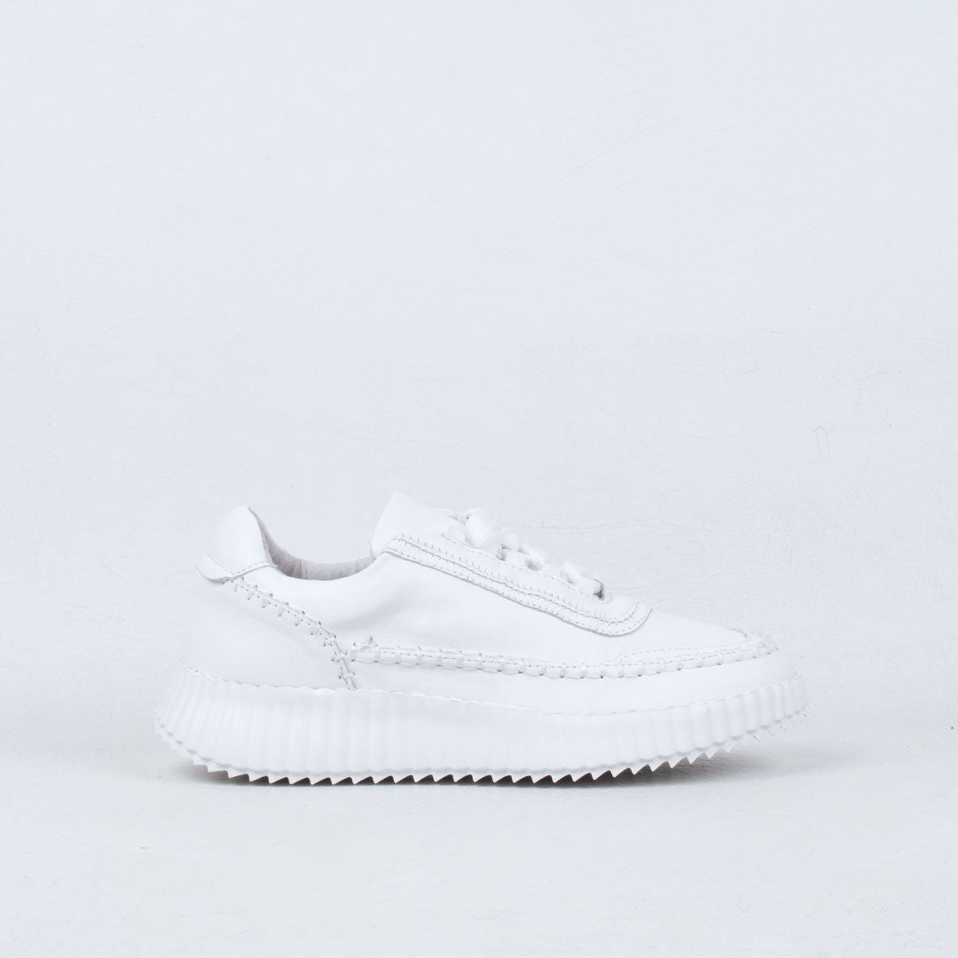 Hotta Sneaker | Shop Gelato Sneakers at Mischief Shoes